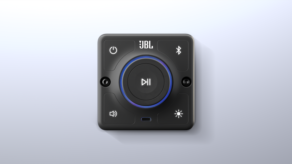 JBL AURA-BT-M – RIVER PARK INC